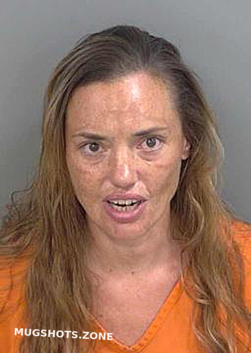 JONES MELANIE D 09/09/2024 - Collier County Mugshots Zone