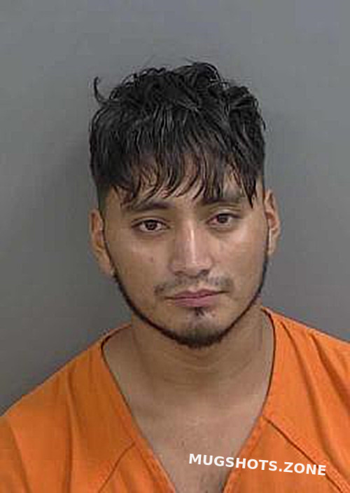 MARTINRAMIREZ SERGIO ALFREDO 09/09/2024 - Collier County Mugshots Zone