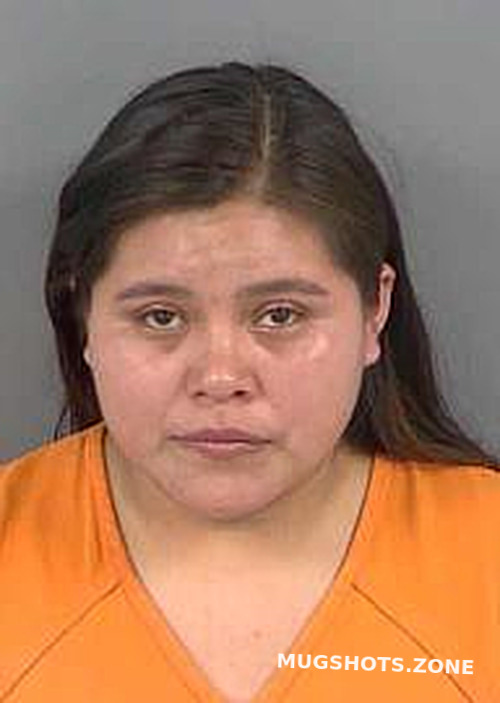 ANDRESRAMIREZ RUTH NOHEMI 09/13/2024 - Collier County Mugshots Zone