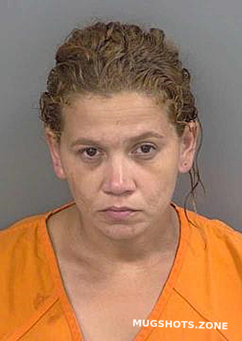 SOLERMENDEZ YANET 10/03/2024 - Collier County Mugshots Zone