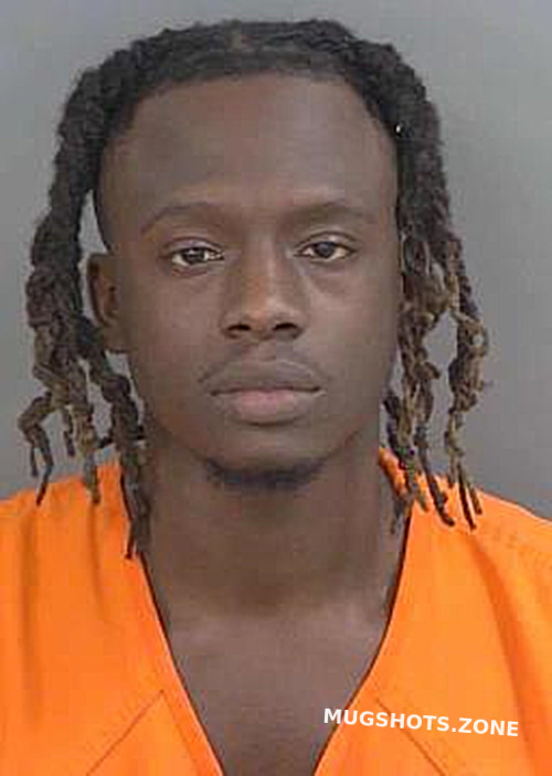 ELAN LUIGI ADAMO 10/09/2024 - Collier County Mugshots Zone