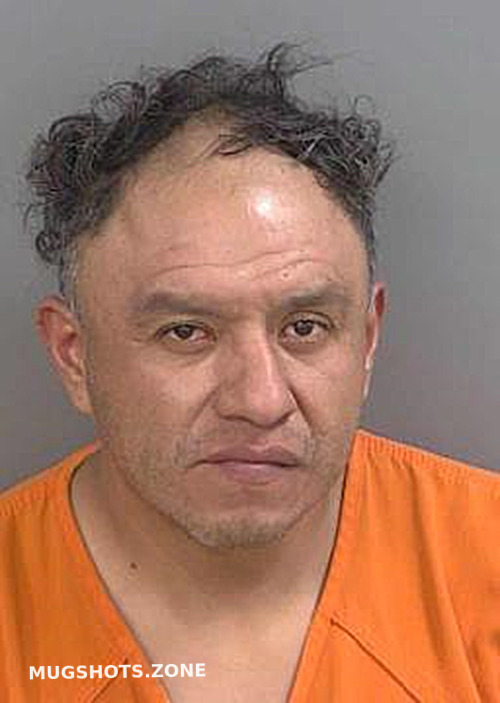 MEZCASTANEDA ALEJANDRO 10/13/2024 - Collier County Mugshots Zone