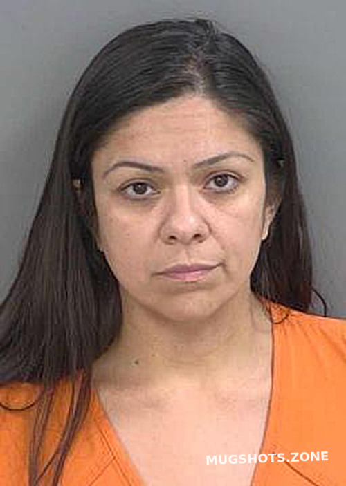 BARAJASMIRAMONTES CLAUDIA VERONICA 10/19/2024 - Collier County Mugshots ...