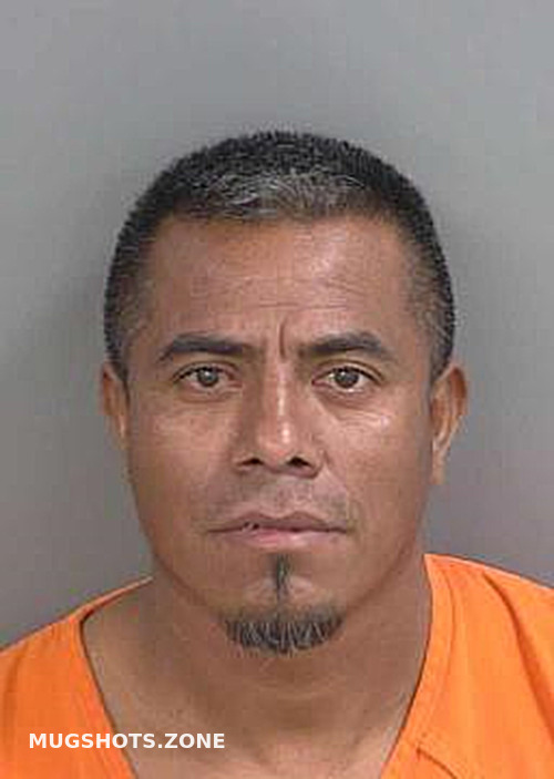 VERDUGOMORALES DARINEL 10/21/2024 - Collier County Mugshots Zone