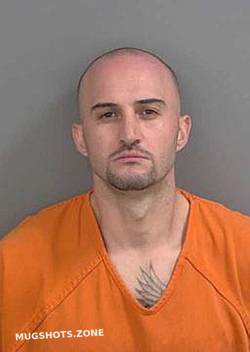 MUSOLLARI BRUNO 10/22/2024 - Collier County Mugshots Zone