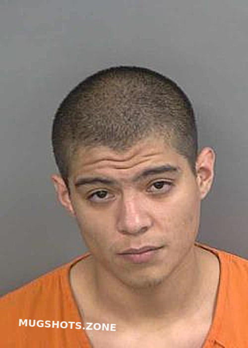 JAIMES GIOVANNI 10/27/2024 - Collier County Mugshots Zone