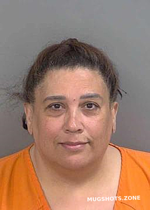 MEJIA ADALGISA 10/29/2024 - Collier County Mugshots Zone