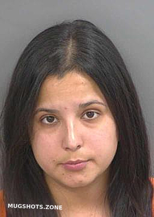 PORTOCARRERO ARANZA X 10/29/2024 - Collier County Mugshots Zone