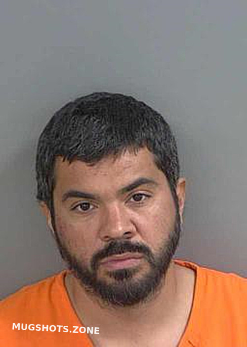 CHAVEZ BRANDON DAVID 10/30/2024 - Collier County Mugshots Zone
