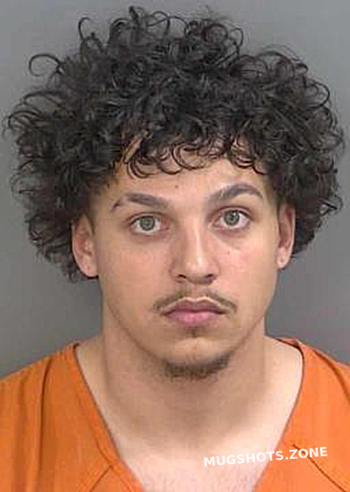 LICOUT ANTONIO MICHAEL 11/04/2024 - Collier County Mugshots Zone