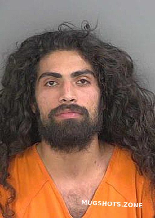 LYNCH BRANDON D 11/09/2024 - Collier County Mugshots Zone