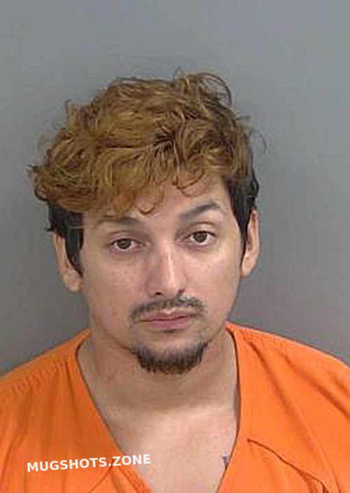 FISH HARRISON MARIO 11/11/2024 - Collier County Mugshots Zone