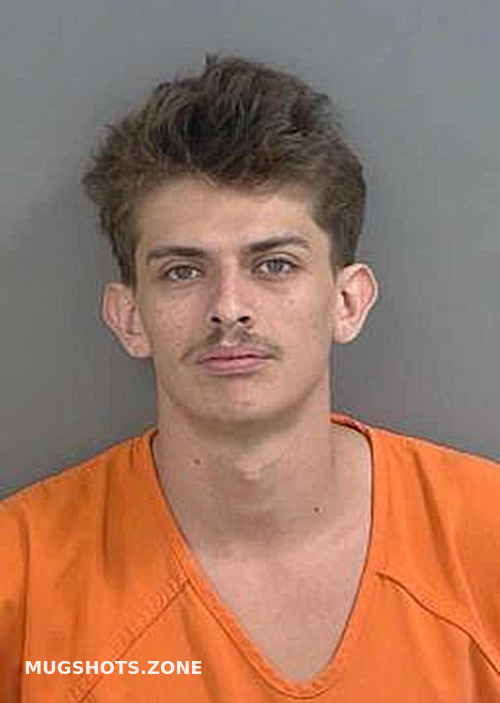 REDA XAVIER 11/13/2024 - Collier County Mugshots Zone