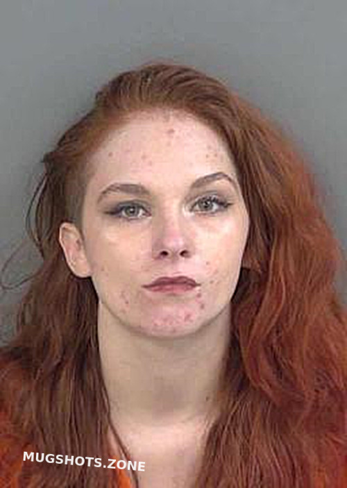 NOLTE GRETA 11/13/2024 - Collier County Mugshots Zone