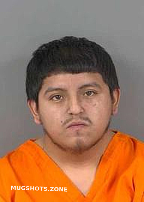 NICOLAS ALEJANDRO 11/24/2024 - Collier County Mugshots Zone