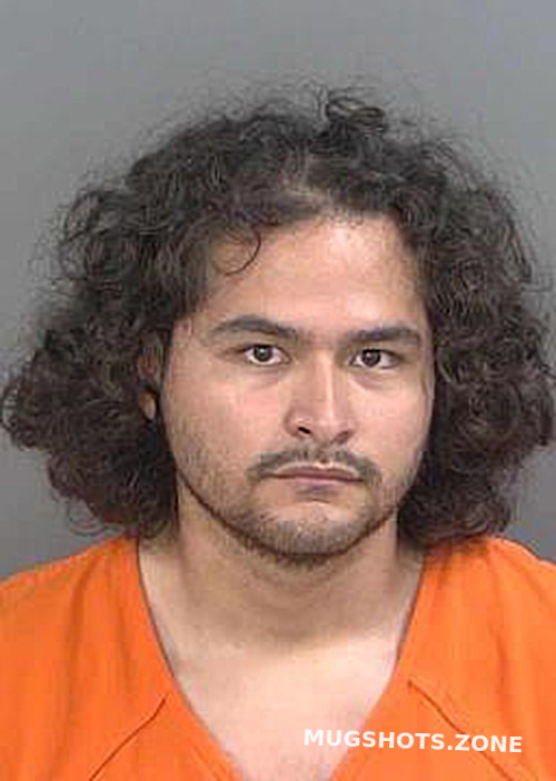 TECSON DAVID 11/27/2024 - Collier County Mugshots Zone