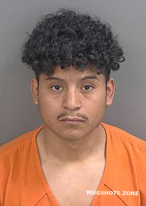 RIVASGONZALEZ JULIO DANIEL 12/12/2024 - Collier County Mugshots Zone