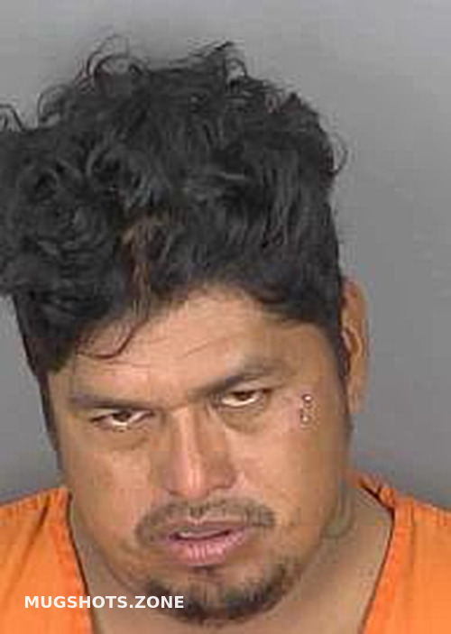 RAMIREZ ROLANDO 12/14/2024 - Collier County Mugshots Zone