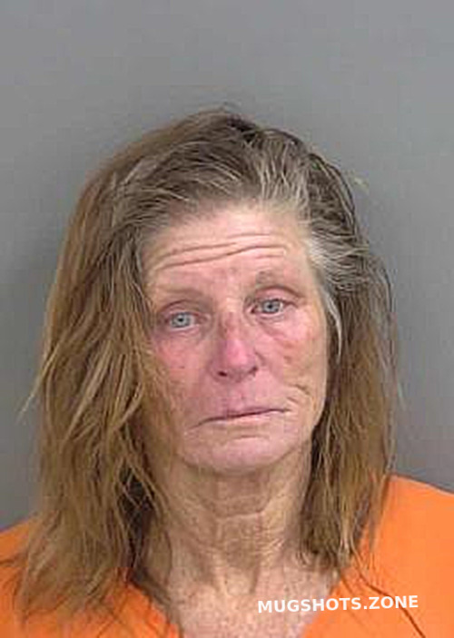 PHILLIPS KIM LOUISE 12/17/2024 - Collier County Mugshots Zone