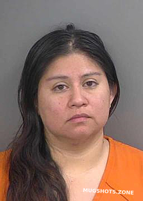 ALLEN MIRANDA JADE 12/19/2024 - Collier County Mugshots Zone