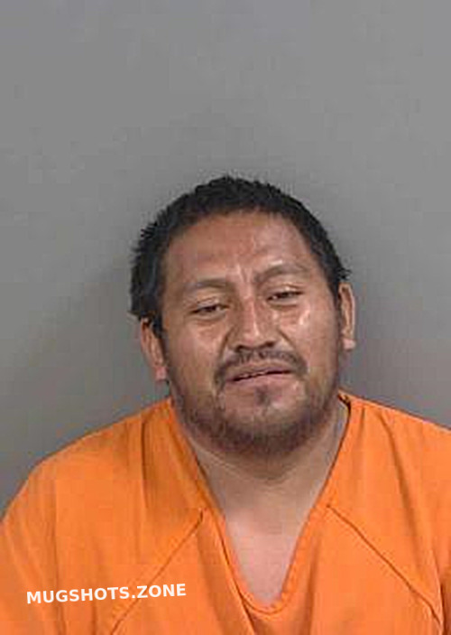 SARAT DAMIAN 12/20/2024 - Collier County Mugshots Zone