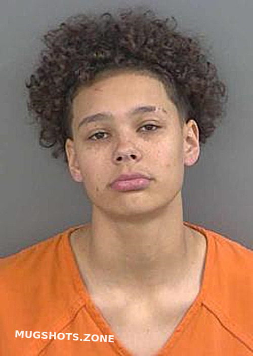 MIXON AVA JANAE 12/23/2024 - Collier County Mugshots Zone