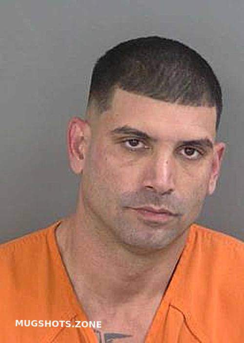 BURGOS EDWIN LEO 01/05/2025 - Collier County Mugshots Zone