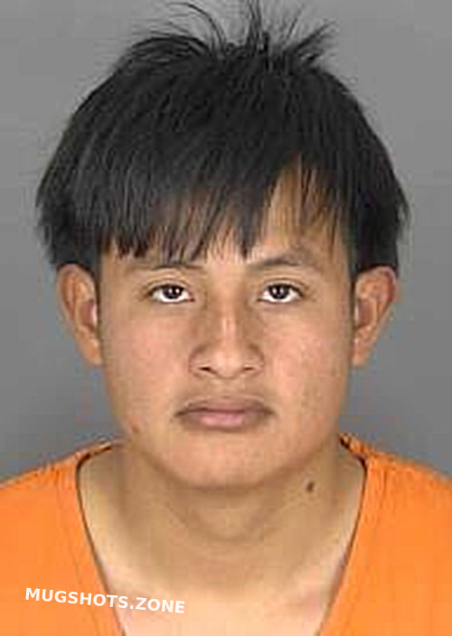 CARDENASCASTILLO SAMUEL 01/05/2025 - Collier County Mugshots Zone