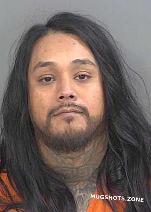 JIMENEZ MICHAEL 01/07/2025 - Collier County Mugshots Zone