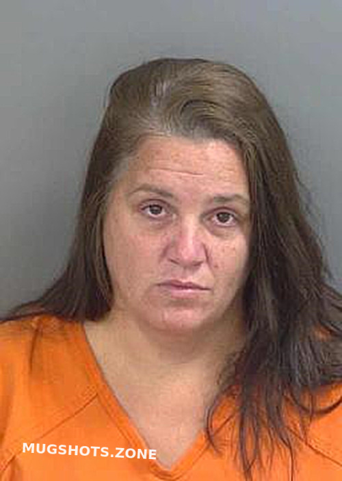 SEGROVES BRANDY LEE 01/07/2025 - Collier County Mugshots Zone