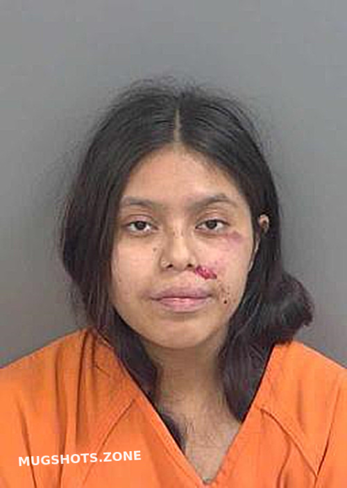 GONZALEZLOPEZ LESLEY 01/10/2025 - Collier County Mugshots Zone