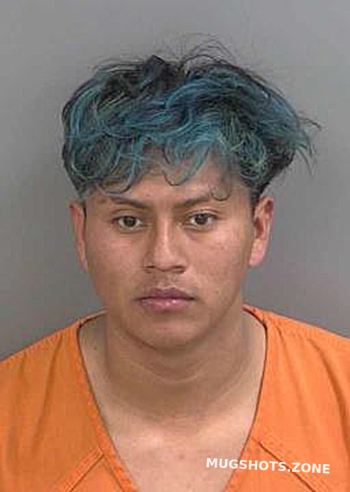 GARCIAVASQUEZ BRANDON E 01/13/2025 - Collier County Mugshots Zone