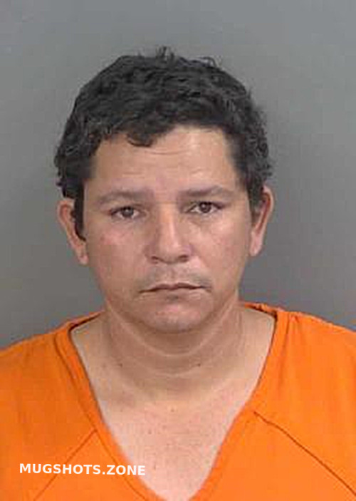 CANIZALEZRAMOS LUIS LEANDRO 01/17/2025 - Collier County Mugshots Zone