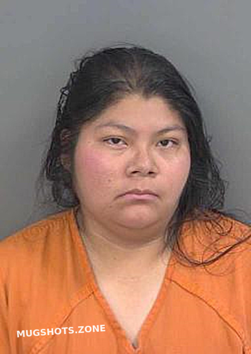 ROJAS KARINA 01/18/2025 - Collier County Mugshots Zone