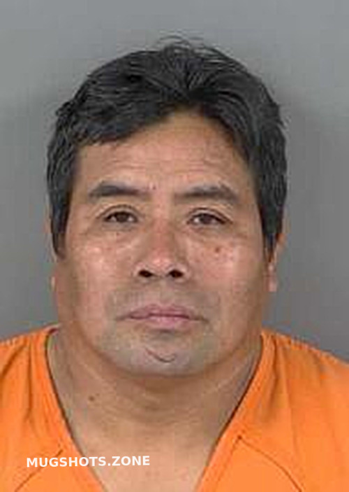 TOMASMARTIN PEDRO 01/18/2025 - Collier County Mugshots Zone