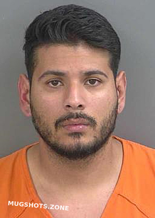GOMEZGOMEZ RAUL ALEXANDER 01/21/2025 - Collier County Mugshots Zone