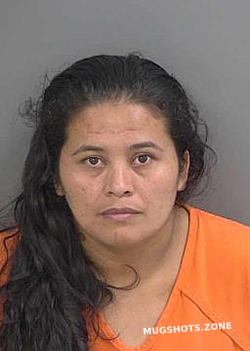 LUCASLOPEZ INGRID YOSMARI 02/04/2025 - Collier County Mugshots Zone