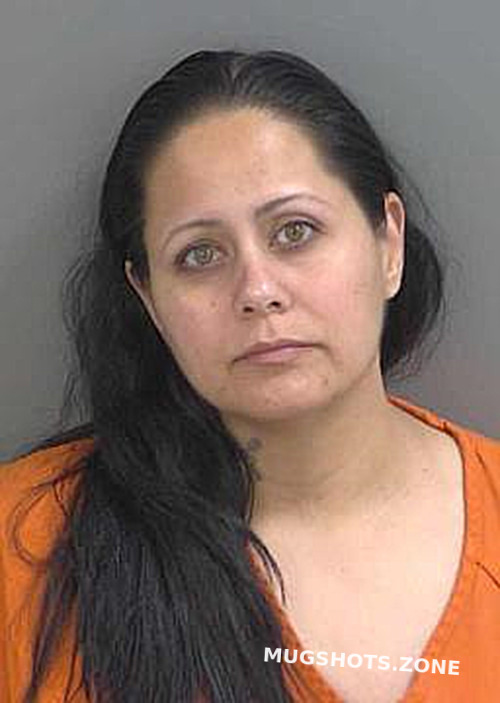 LINKER JENNIFER DENISE 02/12/2025 - Collier County Mugshots Zone
