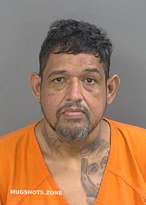 MARTINEZ LUIS 02/16/2025 - Collier County Mugshots Zone
