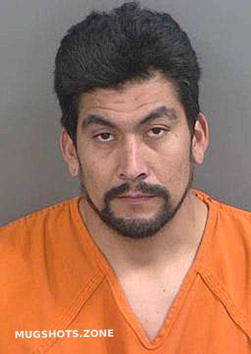 ALBERTO LUIS 02/16/2025 - Collier County Mugshots Zone
