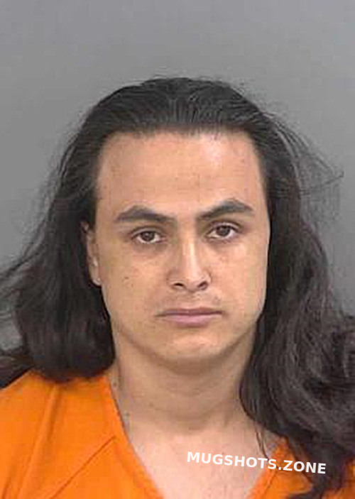 CASTILLO MARTIR 02/17/2025 - Collier County Mugshots Zone