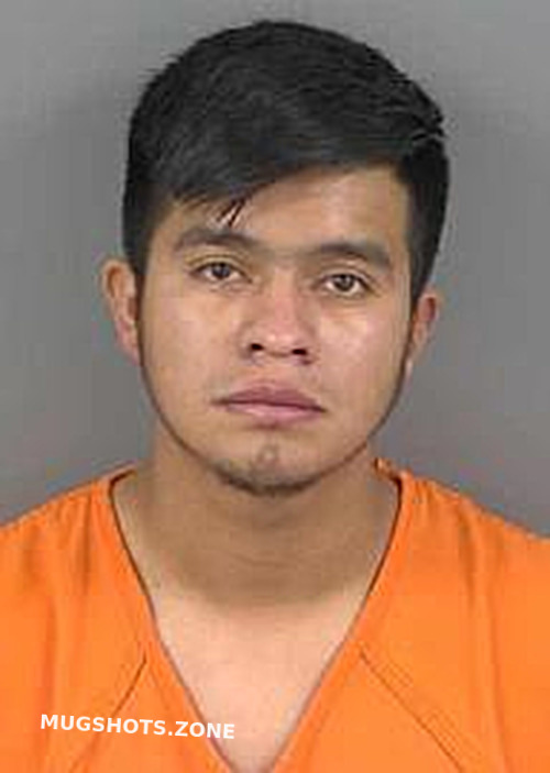 MALDONADORUIZ ALEX 02/21/2025 - Collier County Mugshots Zone