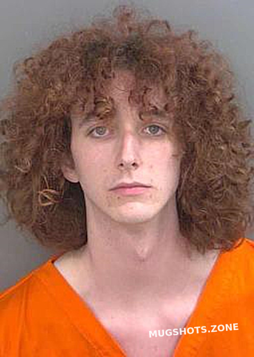 WENDT MAXWELL 02/25/2025 - Collier County Mugshots Zone
