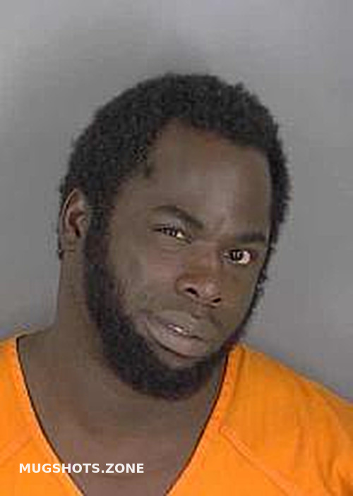 LOUIS JERRY J 02/27/2025 - Collier County Mugshots Zone