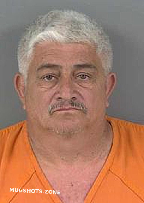 NAPOLESSIMAL FELIX 03/01/2025 - Collier County Mugshots Zone