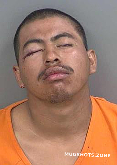 JALALLEM EDGAR 03/21/2025 - Collier County Mugshots Zone