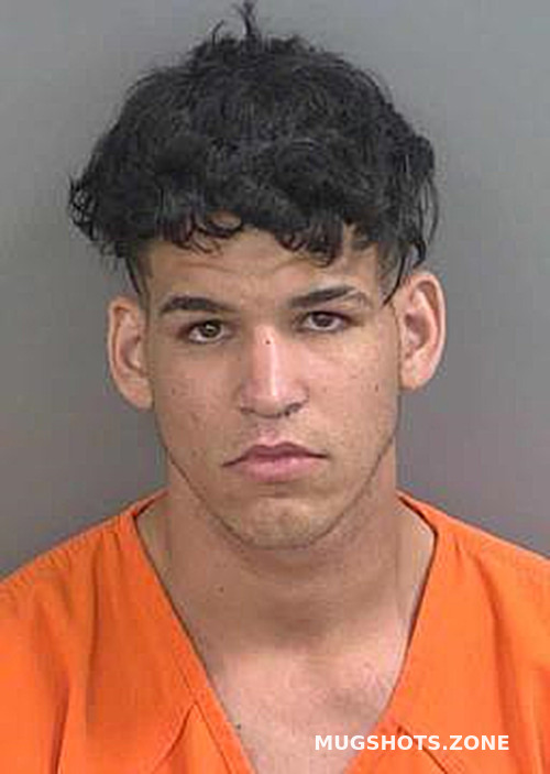 ARIASQUESADA HENDRY 03/23/2025 - Collier County Mugshots Zone