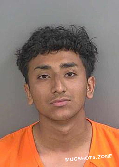 ALONSO-SOTO EDER 03/29/2025 - Collier County Mugshots Zone