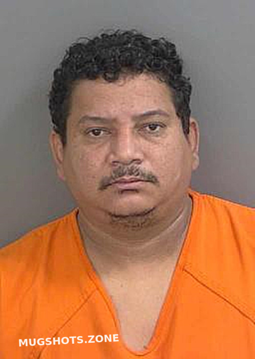 CASTROCALIX EDGAR 04/07/2025 - Collier County Mugshots Zone