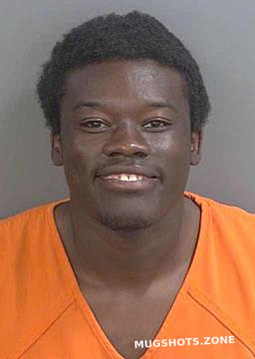 Attilus Tommy Hedson 04 11 2025 Collier County Mugshots Zone